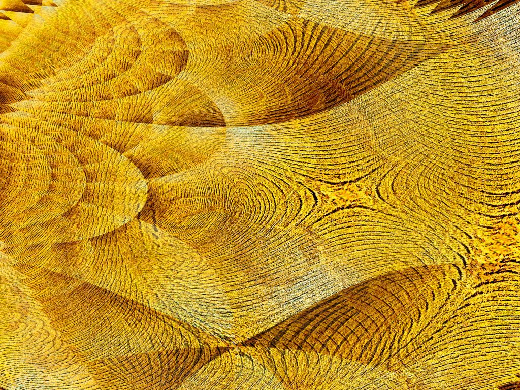 Portfolio - Self Implied