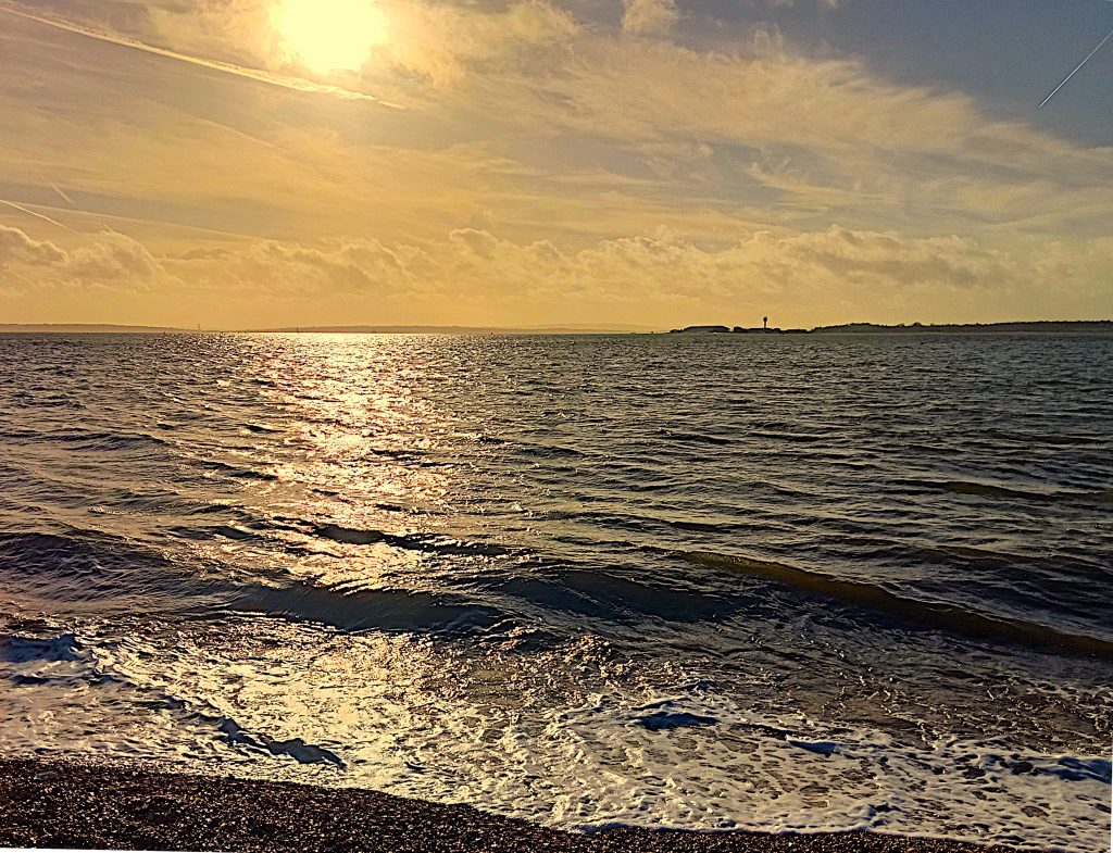 Purchasing Information - Self Implied